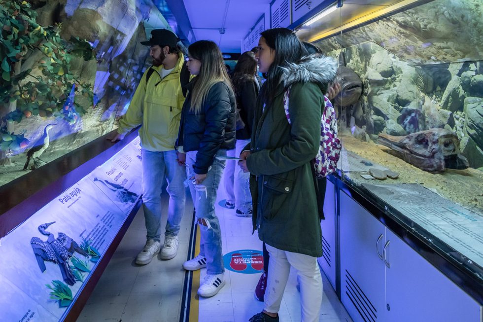 Museo del mar | Fundación para el desarrollo universitario